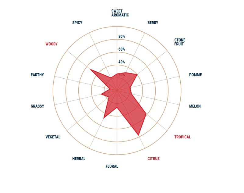 Lúpulo Citra – Mundo Cervecero